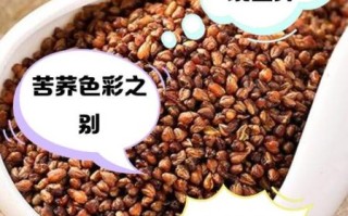 黑荞麦图片_黑荞麦的功效与作用