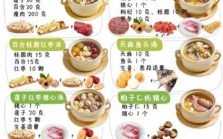 食疗养生吃什么好_食疗大全PDF下载