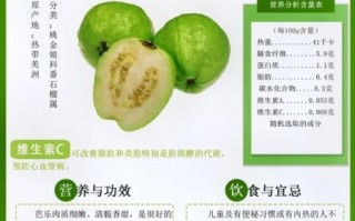 番石榴的功效与作用怎么吃_番石榴的正确吃法
