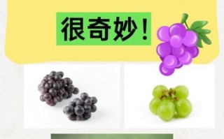 女人每天吃葡萄能美容吗_女性常吃葡萄有哪些好处