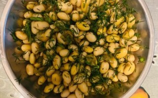 茴香豆的功效与作用_茴香豆能补肾壮阳吗