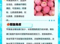 苹果的营养价值_每天吃苹果有什么好处