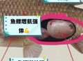 鱼鳔是鱼的什么器官_鱼鳔的功能有哪些