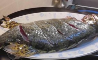 清蒸鲑鱼怎么做好吃_家常清蒸鲑鱼做法