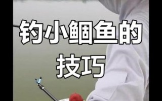 鲻鱼怎么钓_鲻鱼钓法技巧