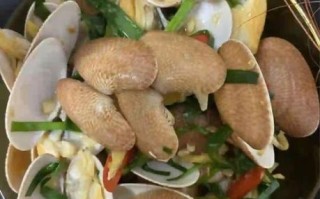 文蛤和花甲哪个好吃_口感营养区别