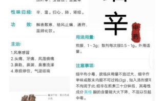 细辛的功效与作用用量_细辛一次吃多少克