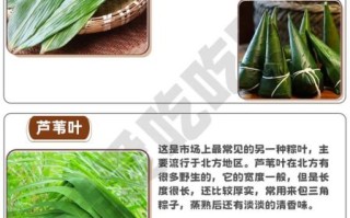 包粽子的叶子叫什么植物_粽叶是哪种植物的叶子