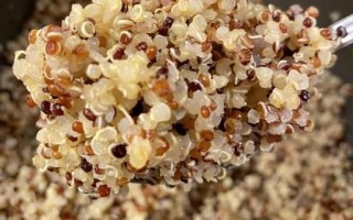 藜麦米怎么煮好吃_藜麦米的正确吃法