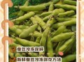 新鲜蚕豆怎么保存_新鲜蚕豆可以冷冻吗