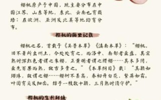 樱桃的营养价值_吃樱桃有什么好处