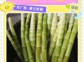 新鲜竹笋怎么烧_竹笋焯水几分钟去涩