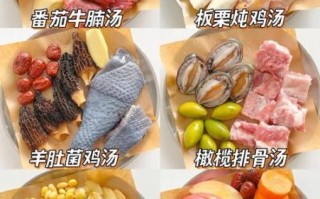 夏天如何养生_夏天吃什么食物最养生