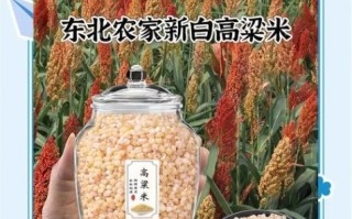 高粱米粥含糖量高不高_糖尿病人能吃吗