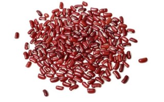 红豆图片大全_如何挑选高清红豆图