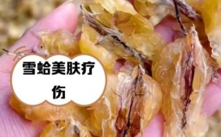 雪蛤丰胸多久见效_雪蛤怎么吃胸变大