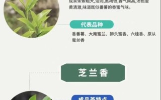 凤凰单丛茶属于什么茶_凤凰单丛茶是红茶还是绿茶