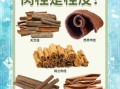 桂皮的功效与作用_桂皮怎么吃效果最好