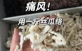 丝瓜络治痛风有效吗_丝瓜络治痛风怎么用
