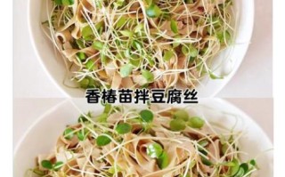 香椿苗怎么凉拌_香椿苗凉拌做法大全 香椿苗怎么凉拌_香椿苗凉拌做法大全