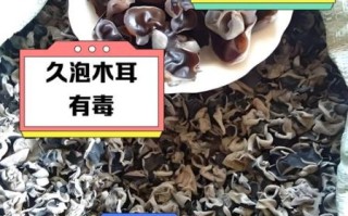 隔夜木耳有毒吗_隔夜木耳中毒真相