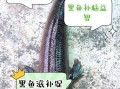 黑鱼的营养价值_黑鱼适合什么人吃
