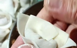 馄饨怎么包_五种方法视频教法