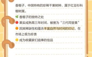 香榧子怎么读_香榧子是什么