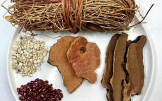 鸡骨草茯苓汤怎么煲_鸡骨草茯苓汤功效与禁忌