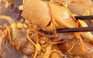 老鸭炖什么补气血_气血双补的食材搭配