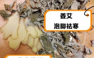 艾蒿的功效与作用_艾蒿泡脚的正确方法