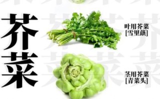 芥菜怎么做好吃_芥菜的家常做法视频