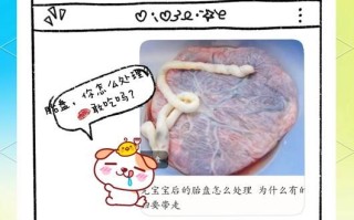胎盘怎么处理_胎盘可以带回家吗
