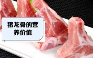 龙骨是什么骨头_龙骨和脊椎骨的区别