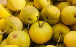 酸梨含糖量高吗_糖尿病人能吃酸梨吗