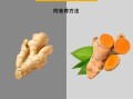 片姜黄与姜黄的区别_如何快速分辨两者