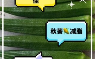 黄秋葵补肾吗_黄秋葵壮阳效果怎么样