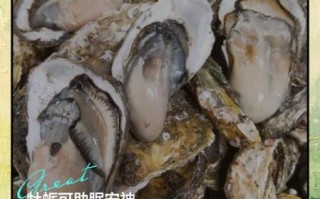 牡蛎汤的功效与作用_牡蛎汤适合什么人喝