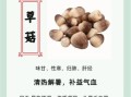 草菇种植前景怎么样_草菇种植利润高吗