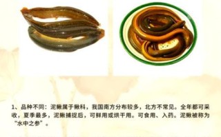 鳝鱼的功效与作用_鳝鱼怎么吃最营养