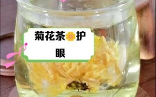 菊花泡水喝的功效与作用_菊花有哪些禁忌