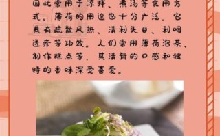 十香菜是薄荷吗_十香菜和薄荷的区别