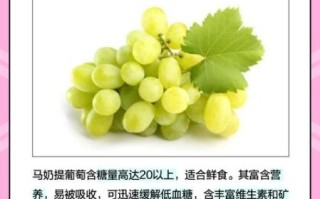 马奶提葡萄的功效与作用_马奶提葡萄多少钱一斤