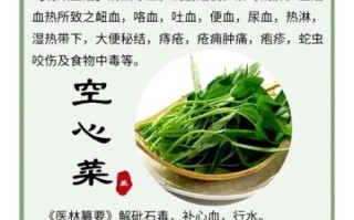 空心菜能排结石吗_怎么吃效果最好