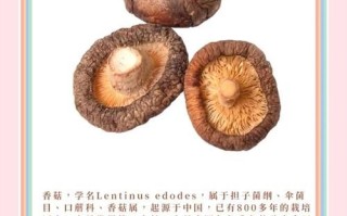 花菇图片大全_如何挑选优质花菇