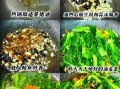 豆豉鱼罐头油麦菜怎么做_豆豉鱼罐头油麦菜好吃吗