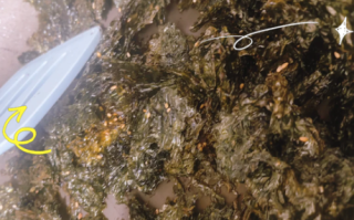 自制海苔怎么做_自制海苔的做法