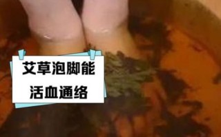 艾草泡脚能减肥吗_艾草泡脚减肥原理