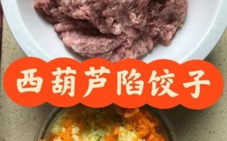 西葫芦饺子馅怎么调好吃_西葫芦饺子馅做法大全