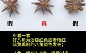 大茴香和八角的区别_八角是不是大茴香